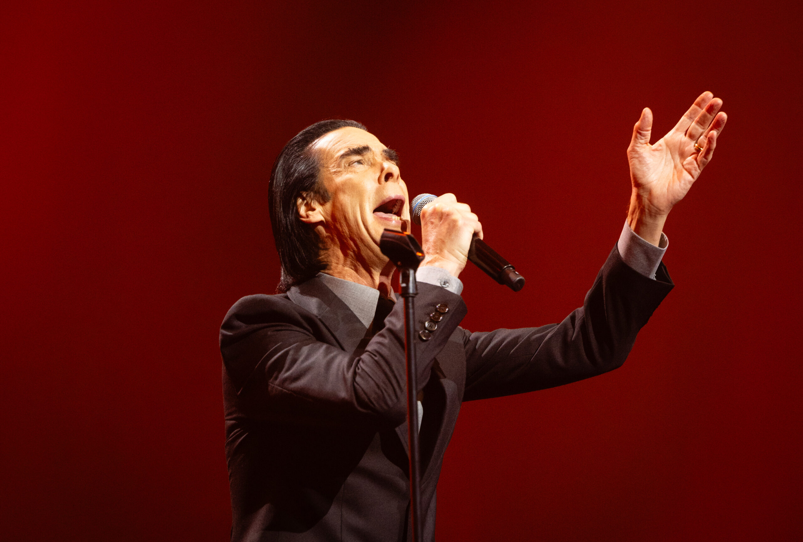 Nick Cave Reveals He Turned Down A Morrissey Collaboration - Blunt Magazine